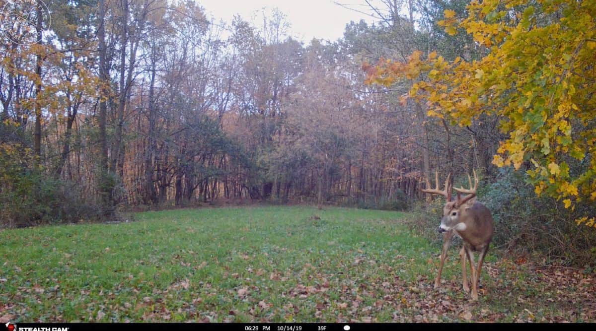 Brandon Wikman - UC Hunting Properties