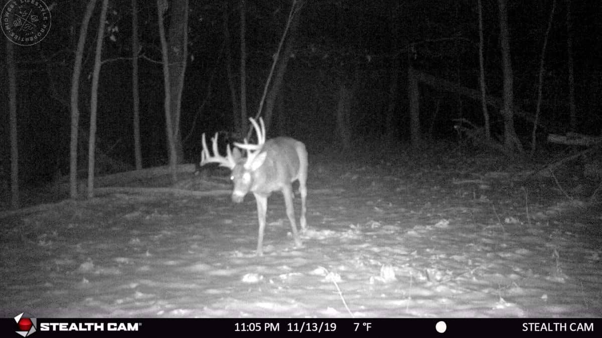 Brandon Wikman - UC Hunting Properties