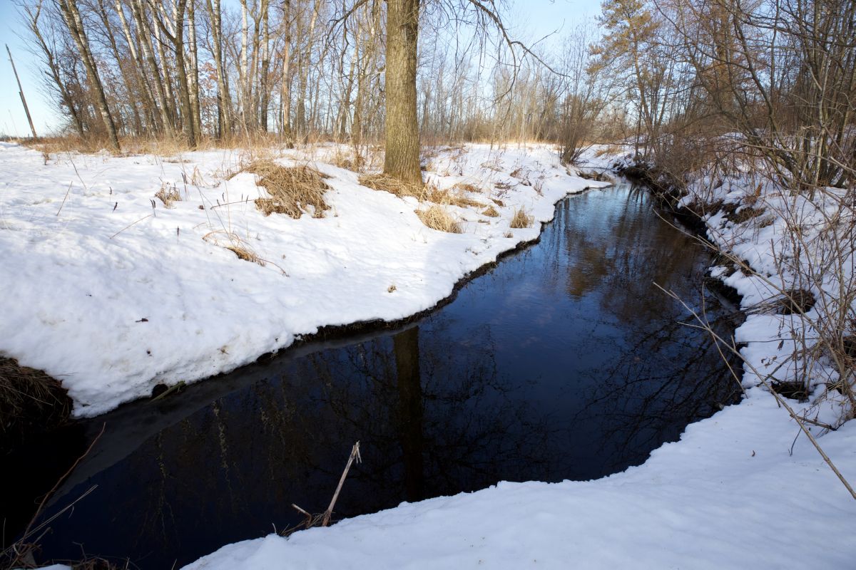 Brandon Wikman - UC Hunting Properties