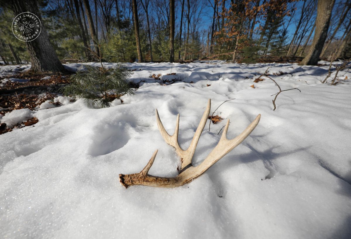 Brandon Wikman - UC Hunting Properties