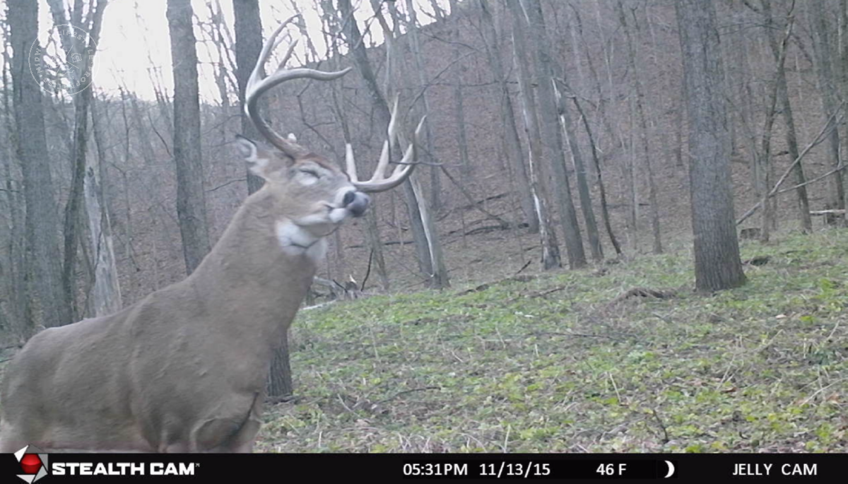 Brandon Wikman - UC Hunting Properties