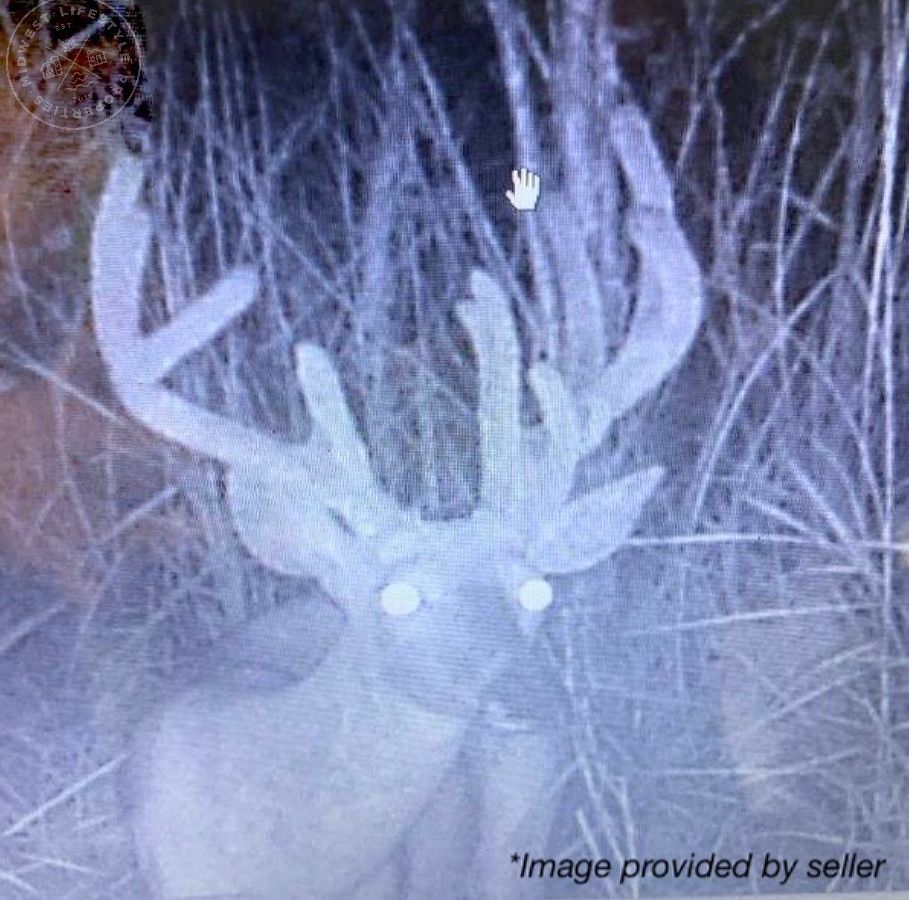 Brandon Wikman - UC Hunting Properties