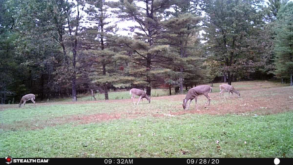 Brandon Wikman - UC Hunting Properties