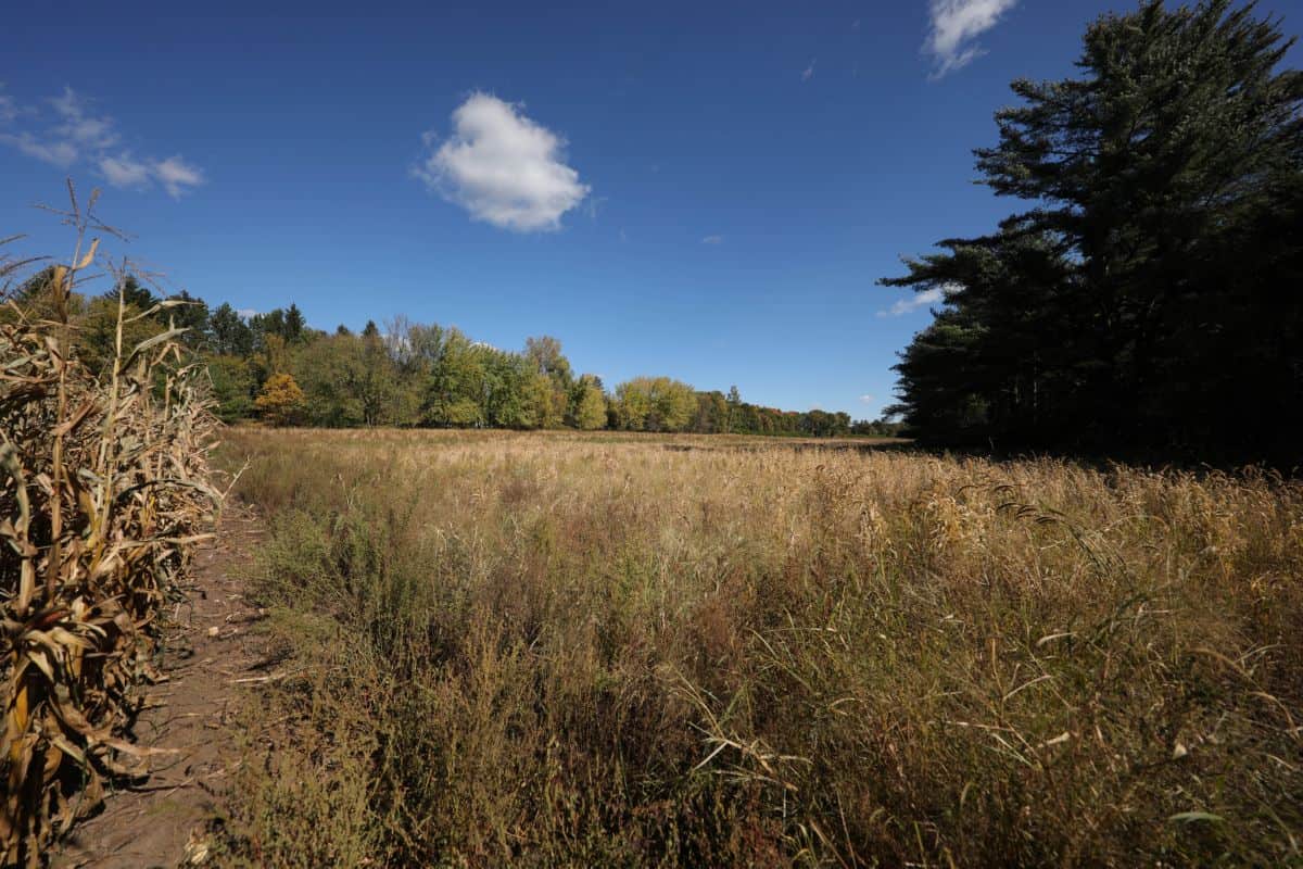 Brandon Wikman - UC Hunting Properties