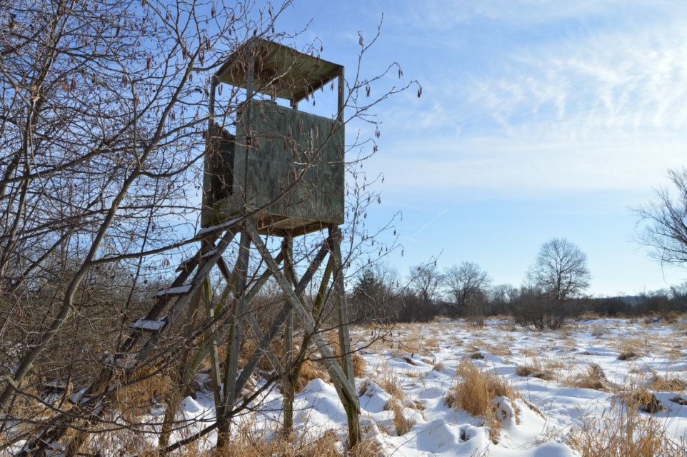 Juneau Hunting Land - UC Hunting Properties