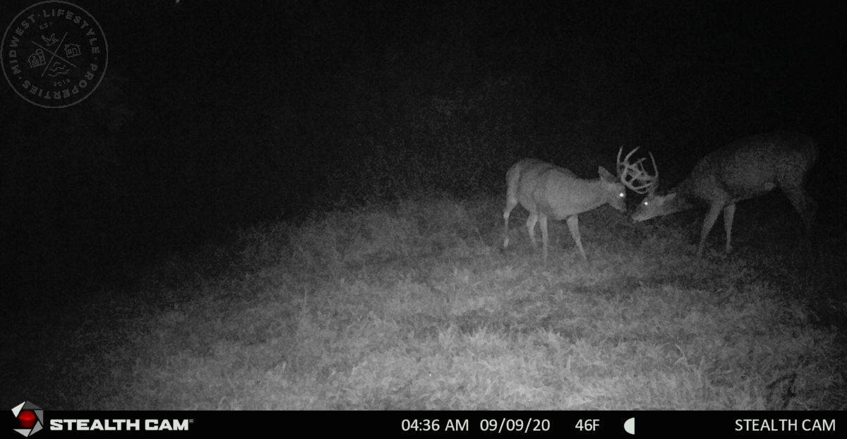 Brandon Wikman - UC Hunting Properties