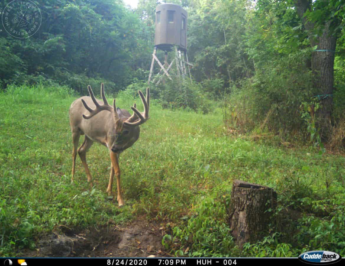 Brandon Wikman - UC Hunting Properties