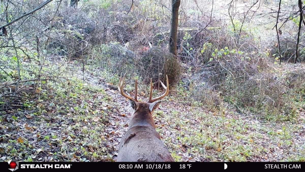 Brandon Wikman - UC Hunting Properties