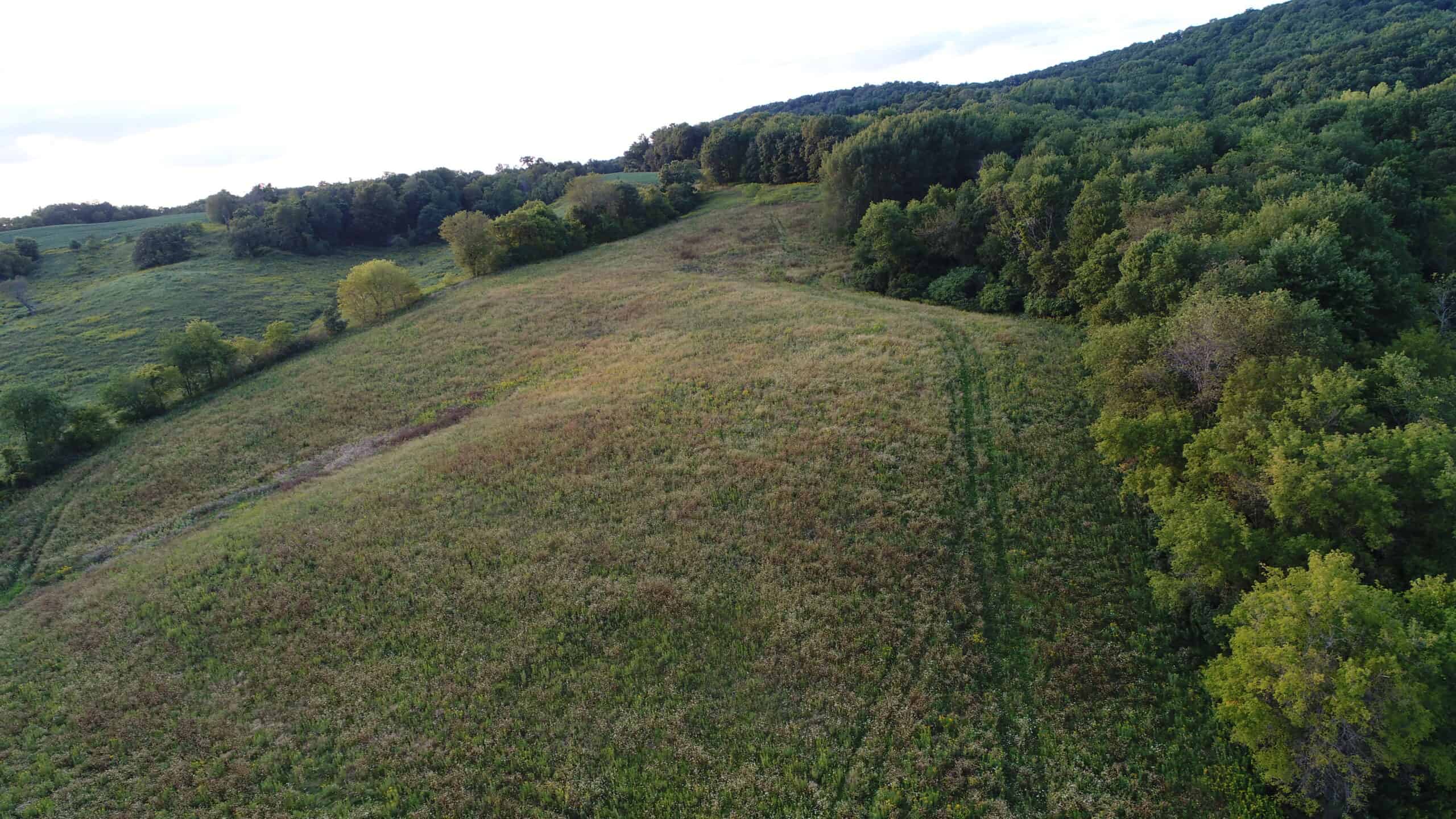 Juneau Hunting Land - UC Hunting Properties