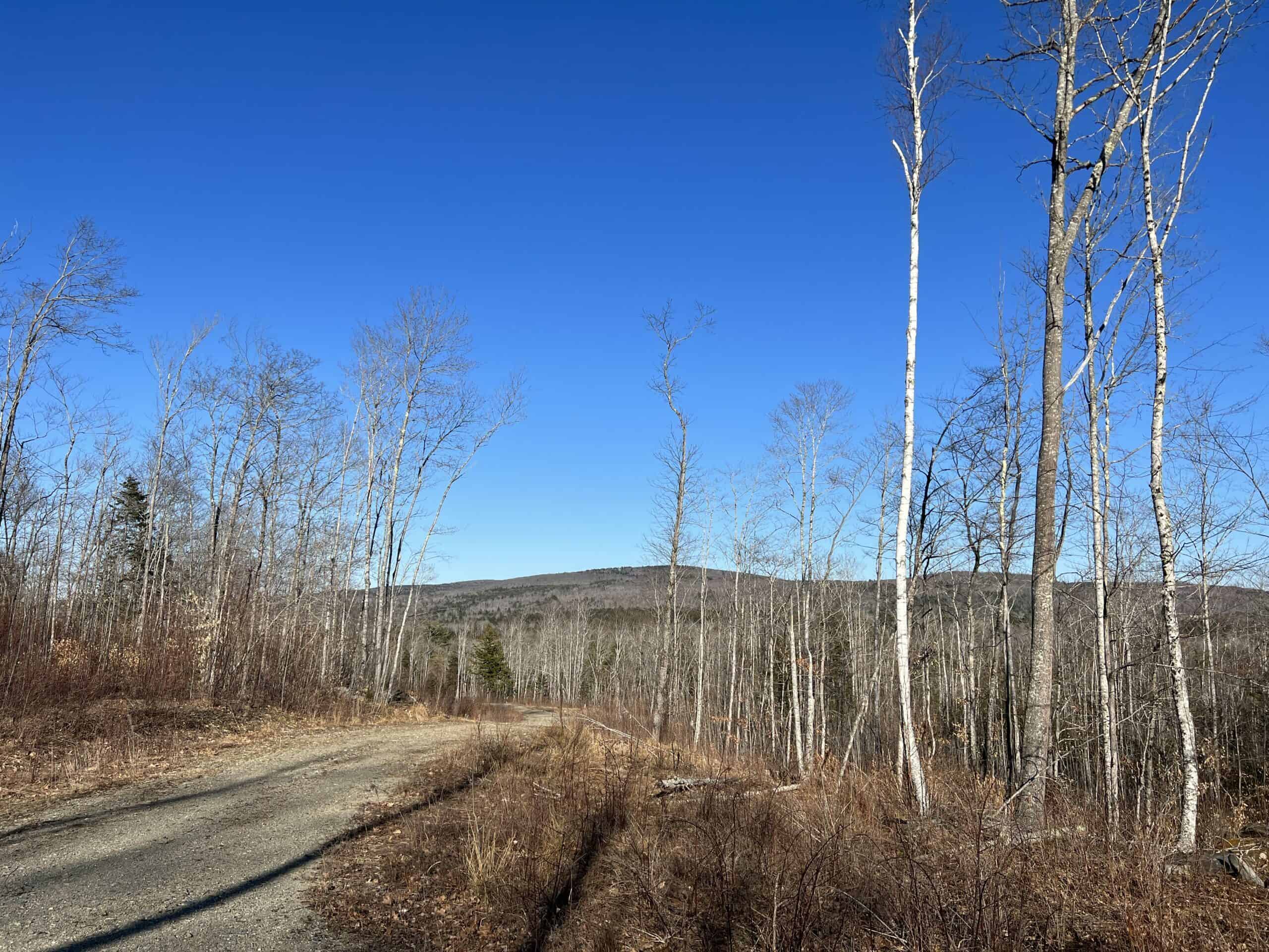 Hunting Land For Sale in Maine | Hunting Properties for sale in Maine
