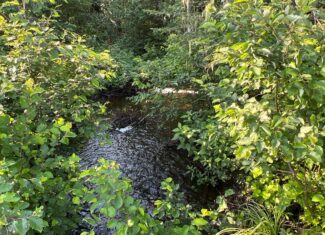 Hunting Land For Sale in Maine | Hunting Properties for sale in Maine