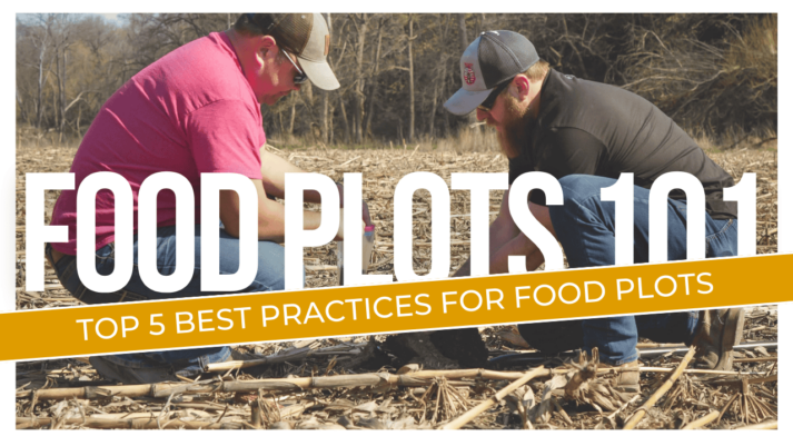 Top 5 Best Practices for Food Plots: Food Plots 101 - UC Hunting Properties