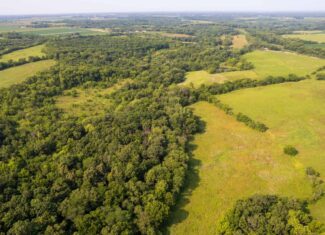 Iowa Hunting Land for Sale - UC Hunting Properties