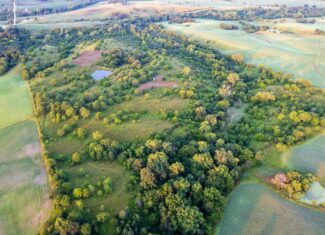 Iowa Hunting Land for Sale - UC Hunting Properties
