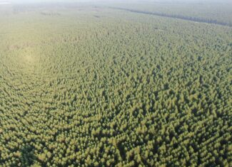 Land For Sale in Wisconsin | Hunting Land For Sale in Wisconsin