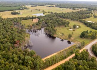 Arkansas Hunting Land - UC Hunting Properties