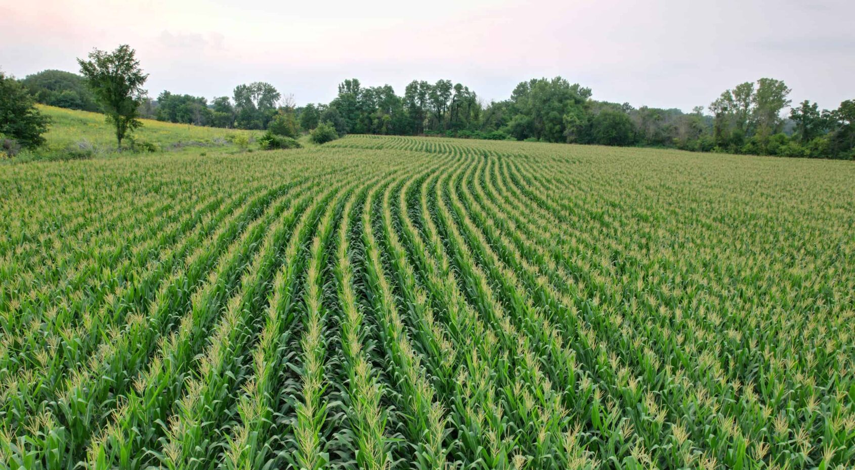 Southern Iowa Combination Hunting Tract - UC Hunting Properties