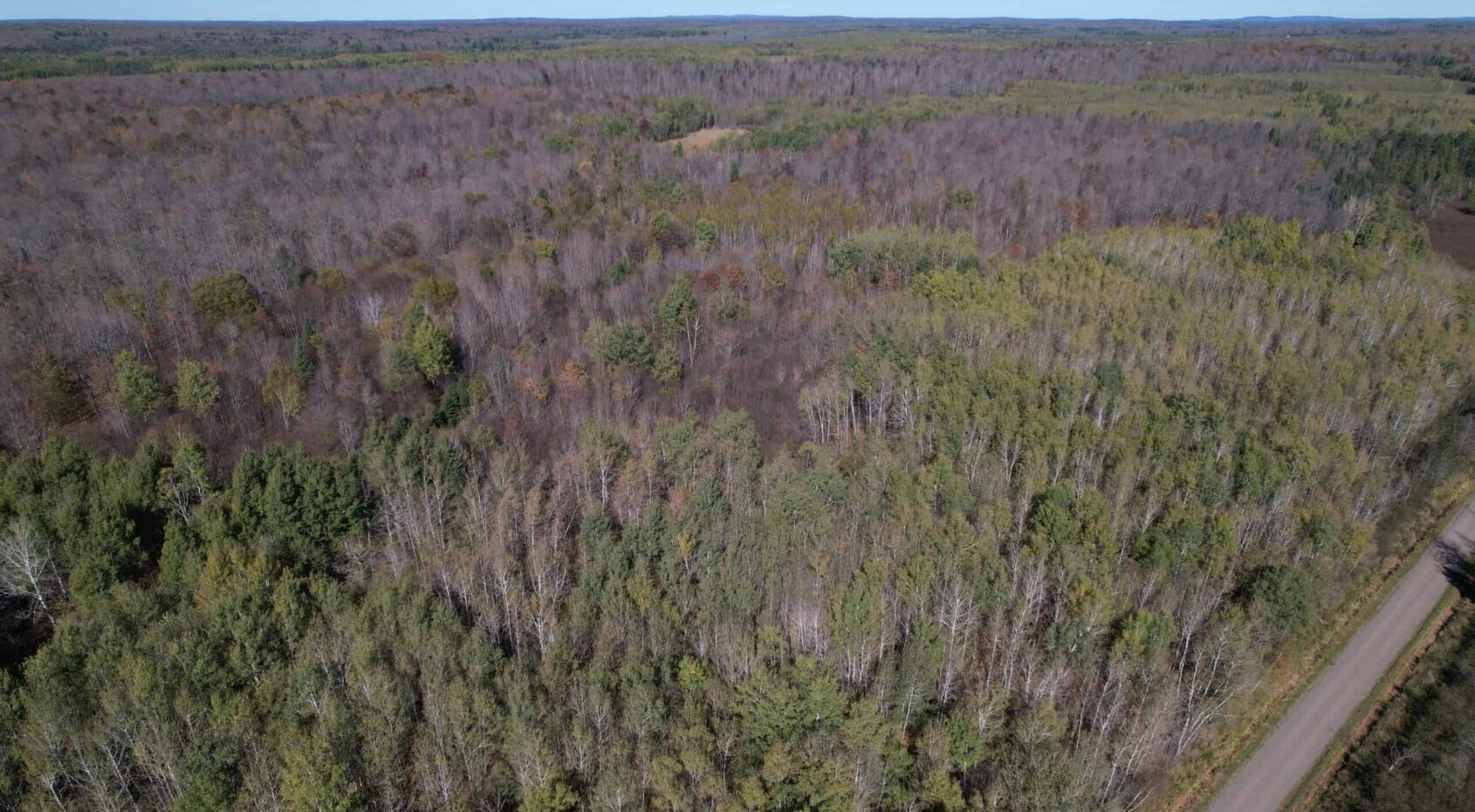 Land for Sale in Glidden, Wisconsin - UC Hunting Properties