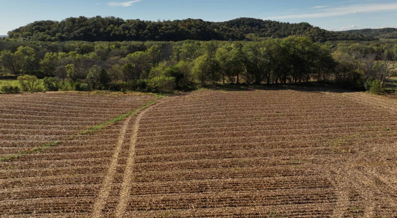 34.50 Acres of Driftless Region Recreational Paradise – Richland County ...