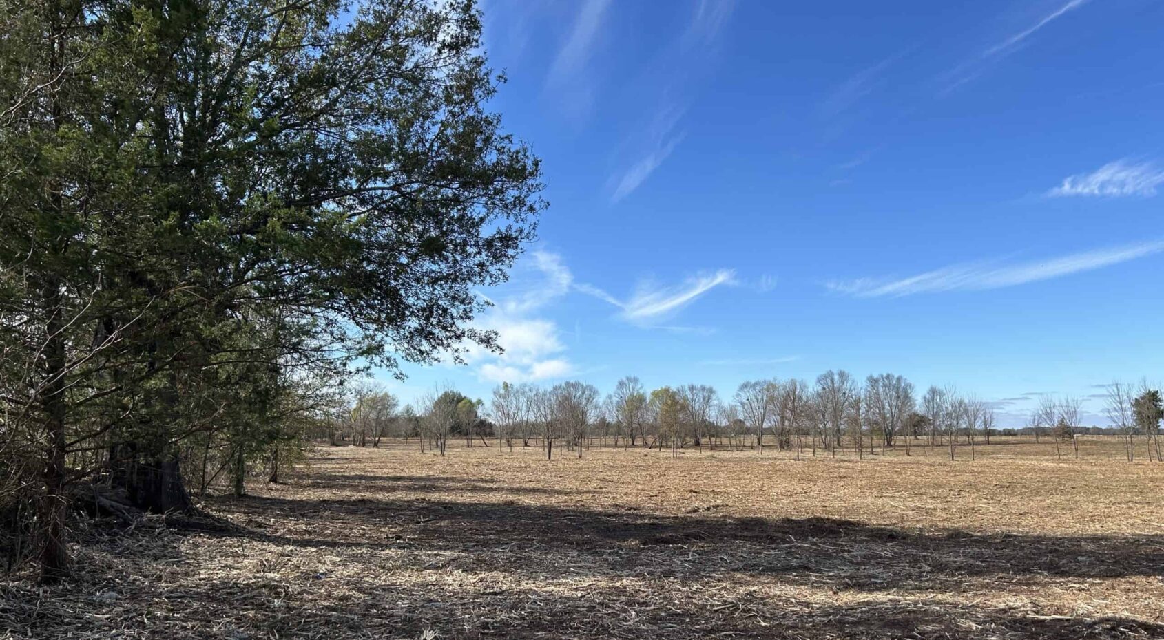 Private Unrestricted Land Near Paris, TX – With Electric - UC Hunting ...