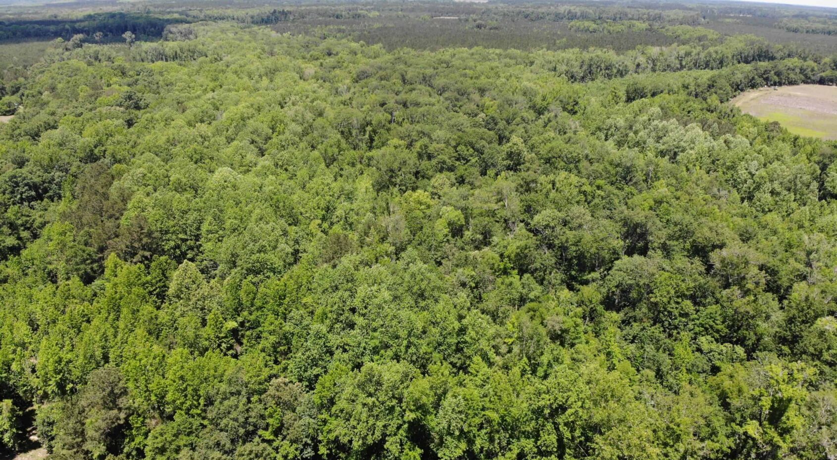 Situated along the scenic Jackson Branch in Allendale Cty is 98 ...