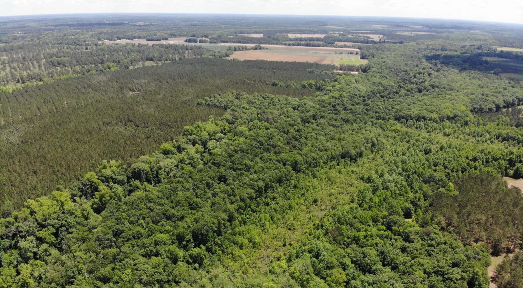 Situated along the scenic Jackson Branch in Allendale Cty is 98 ...