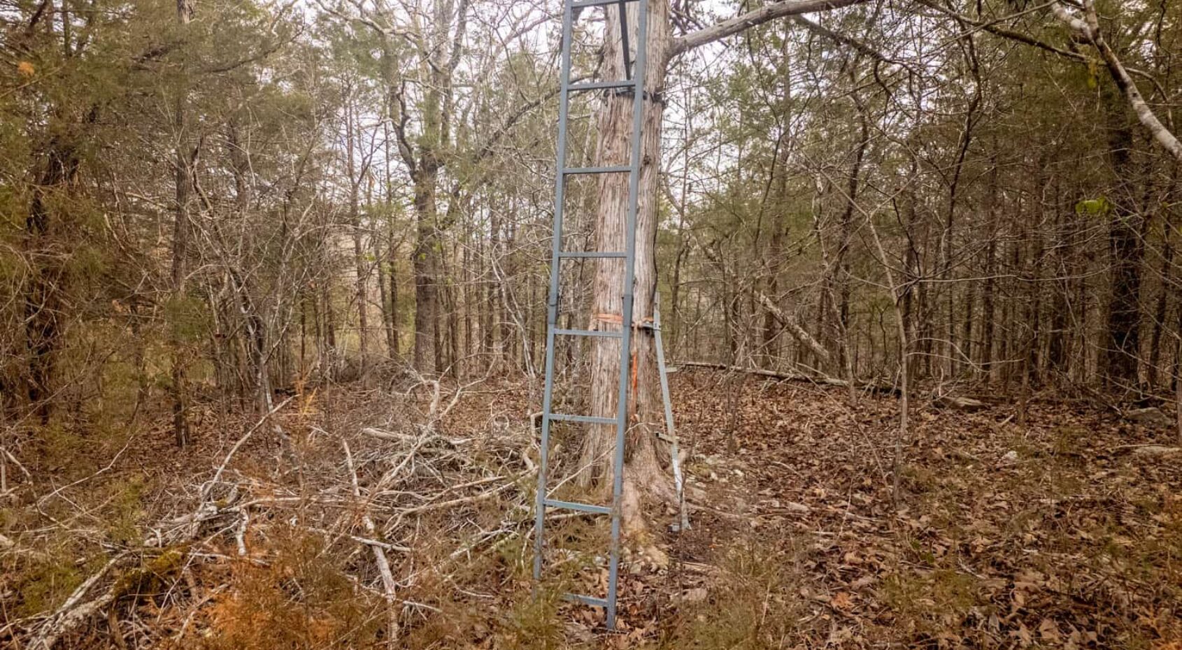 Prime Hunting Land in Koshkonong, Missouri - UC Hunting Properties