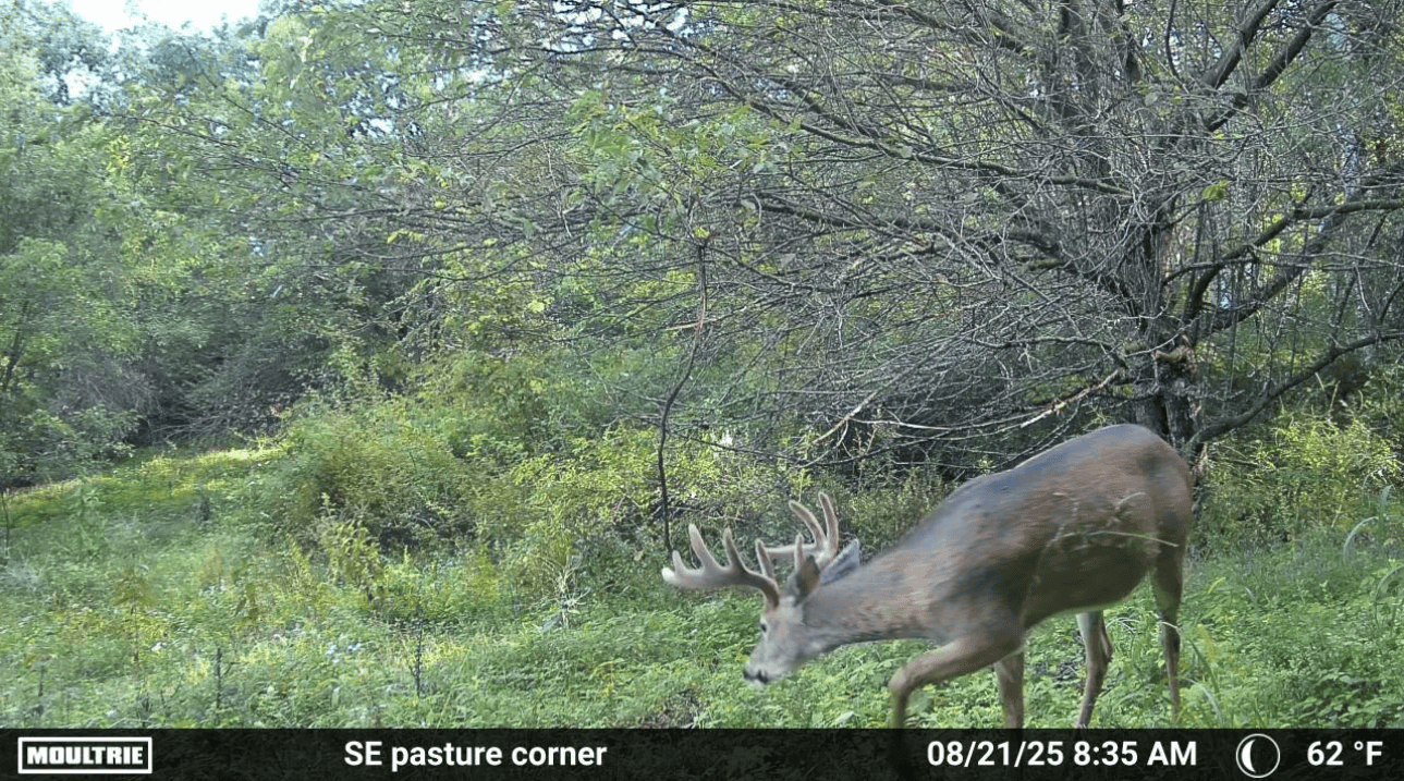 Driftless Trophy Whitetail Legacy Farm – Proven Big Buck Property with ...