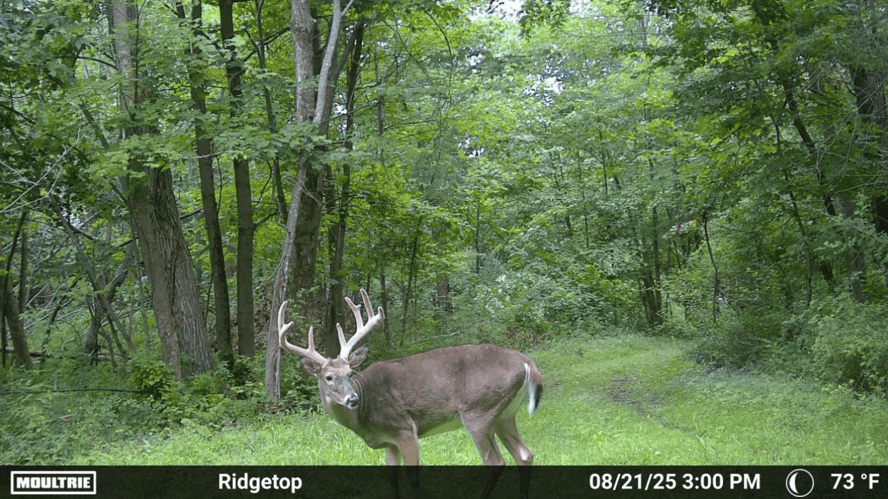 Driftless Trophy Whitetail Legacy Farm – Proven Big Buck Property with ...