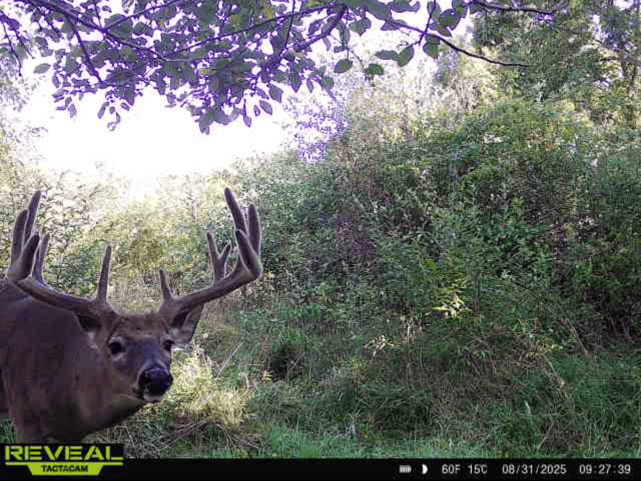 Driftless Trophy Whitetail Legacy Farm – Proven Big Buck Property with ...