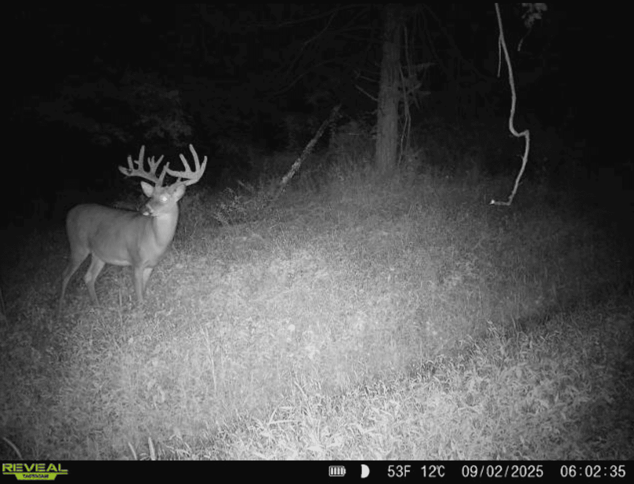 Driftless Trophy Whitetail Legacy Farm – Proven Big Buck Property with ...