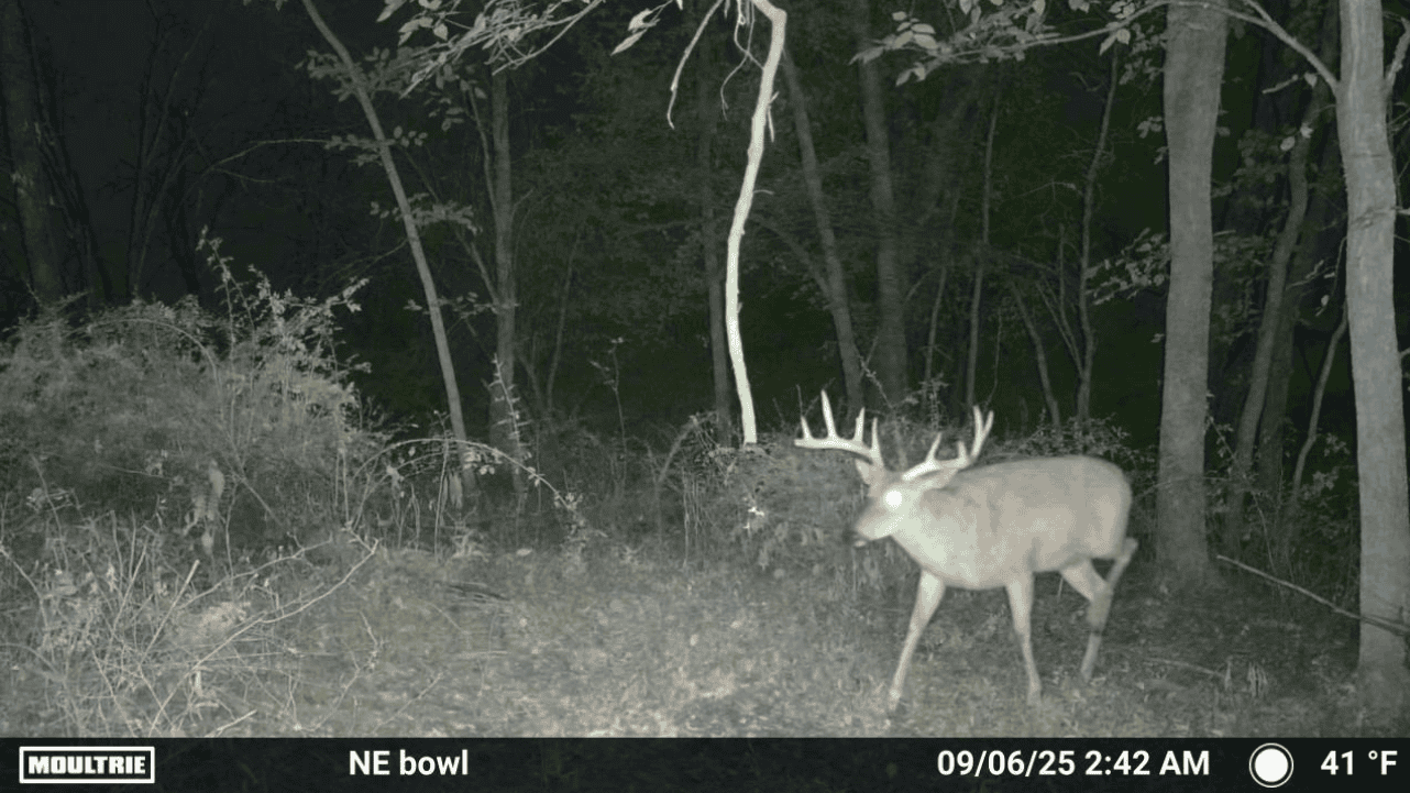 Driftless Trophy Whitetail Legacy Farm – Proven Big Buck Property with ...