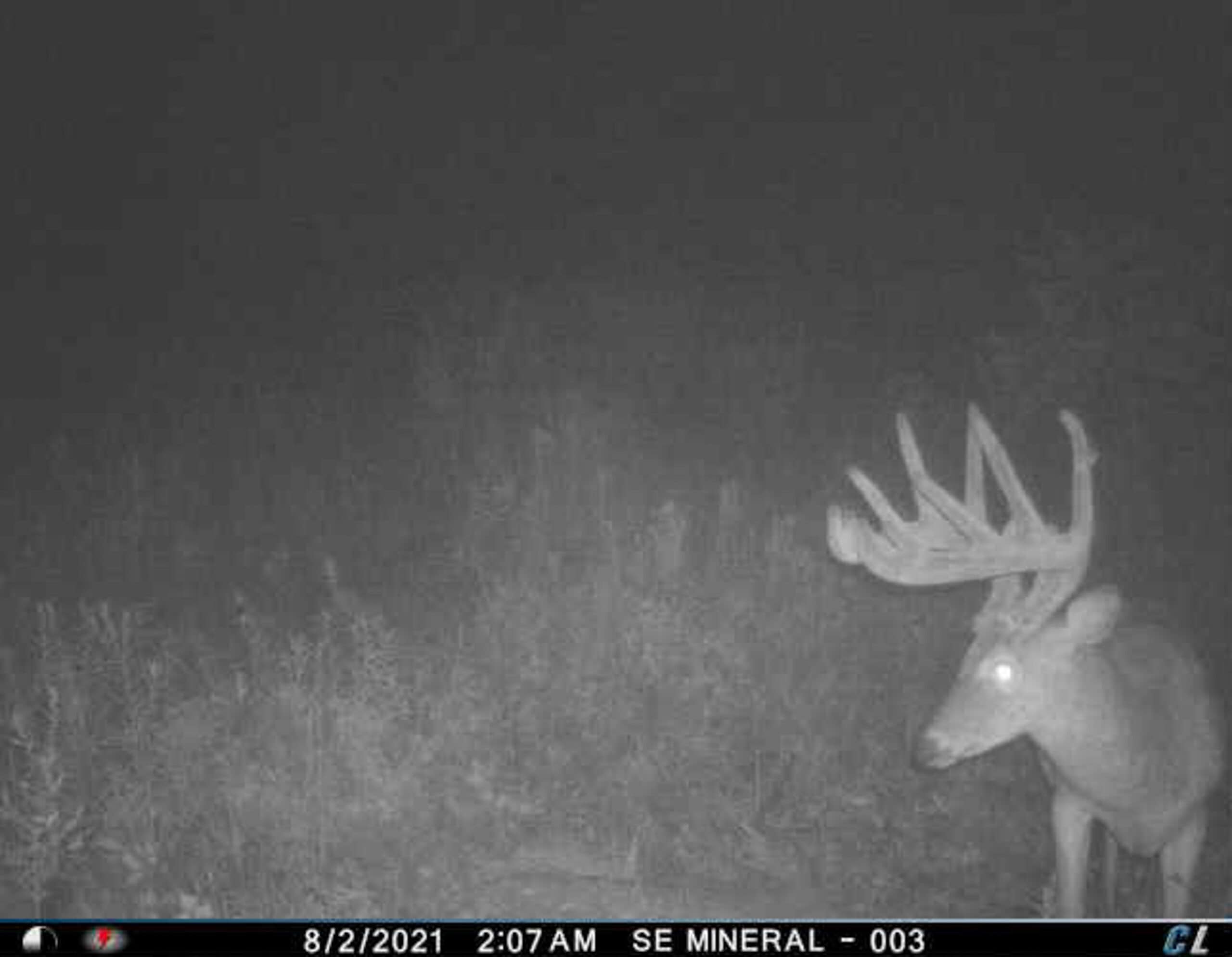 110 +/- Acres | Rathbun Lake Hunting & Investment Farm - UC Hunting ...