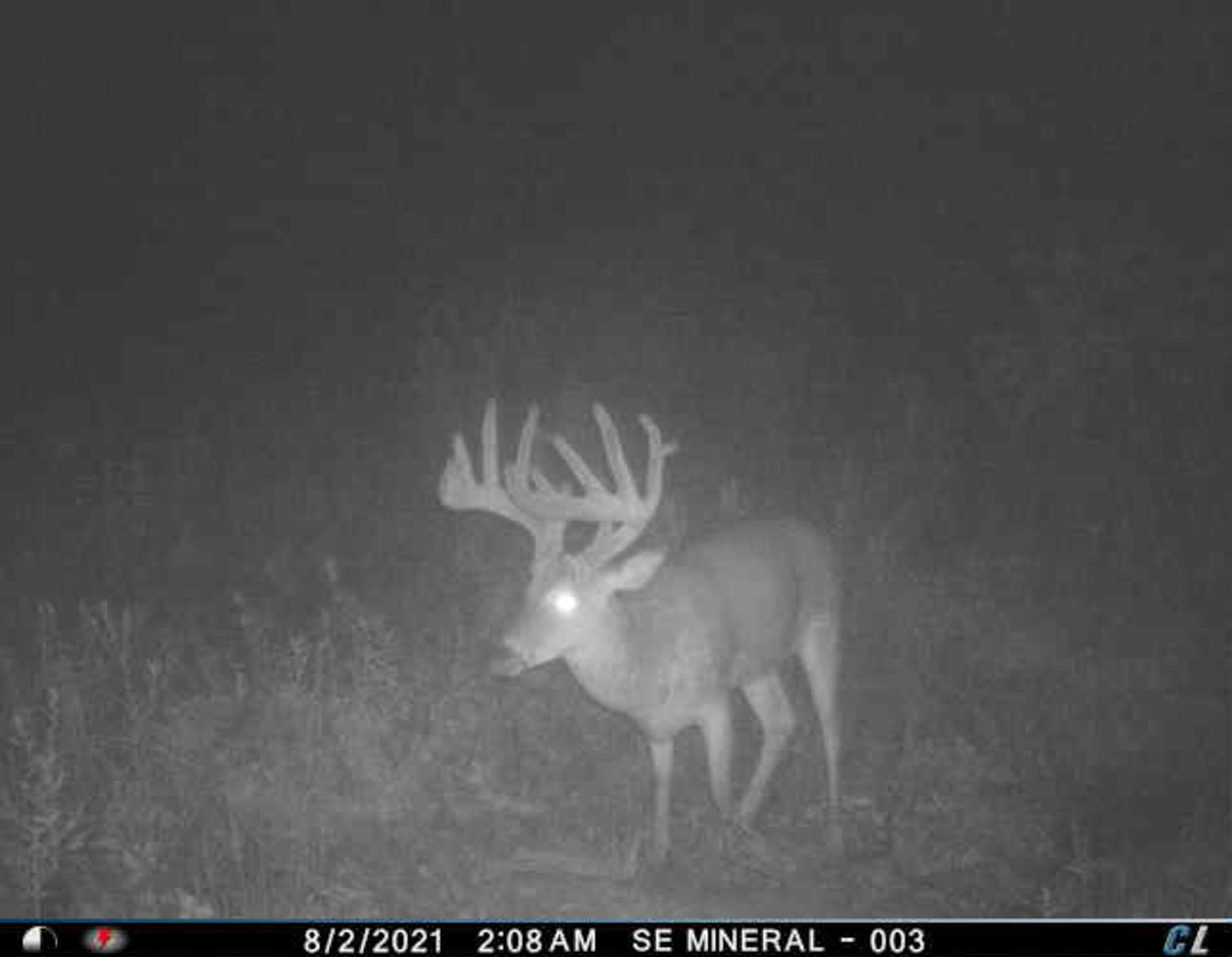 110 +/- Acres | Rathbun Lake Hunting & Investment Farm - UC Hunting ...