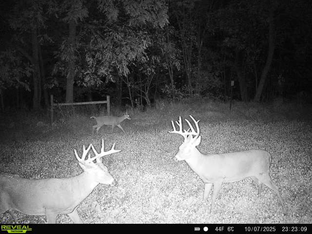 Blufftop Whitetail Estate – 39.21 Acres with Log Home & Trophy Deer ...